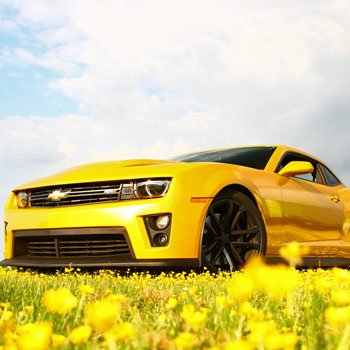 Drive a Transformer with Junior Bumblebee Driving Experiences