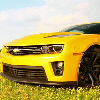 Drive a Transformer with Junior Bumblebee Driving Experiences