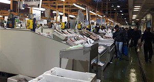 Billingsgate Fish Market - Our definitive guide!