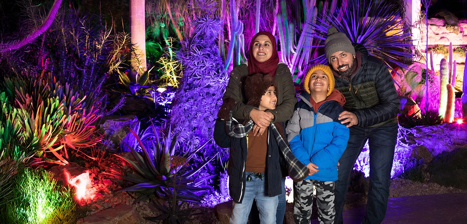 RHS Wisley Glow - Shop Tickets for the 2025 Light Show | Prices From £42.50