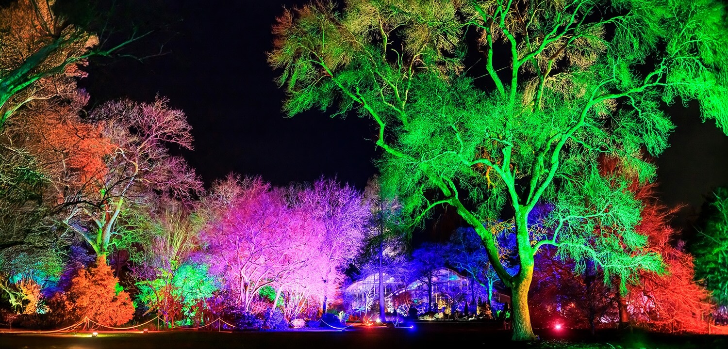 RHS Wisley Glow - Shop Tickets for the 2025 Light Show | Prices From £42.50