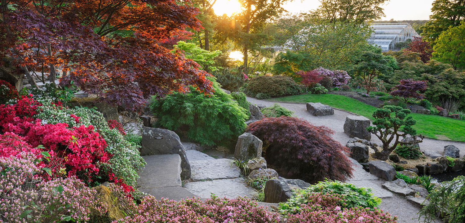 RHS Wisley Afternoon Tea Packages with Garden Entrance included ...