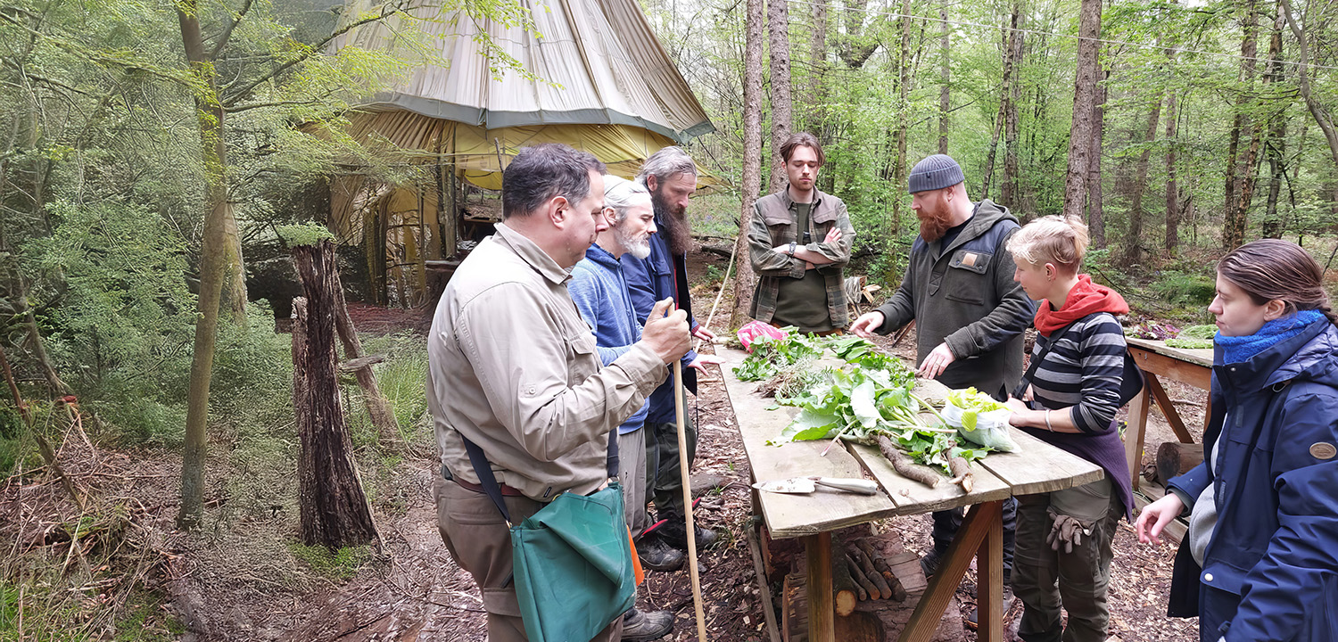 Autumn Foraging Course East Sussex | Prices From £275.00
