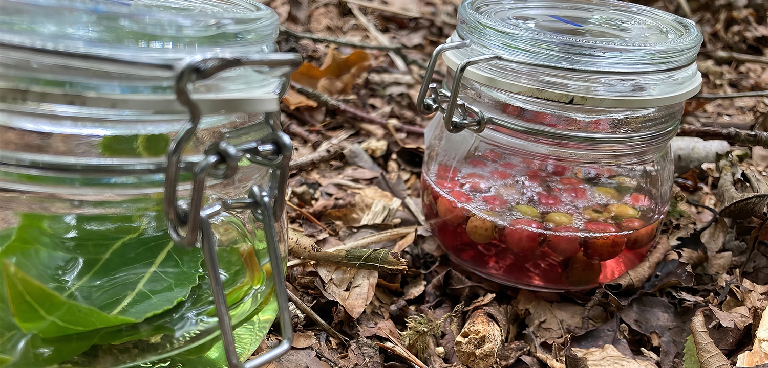 Wild Alcohol & Foraging Workshops in Surrey - Wild Brewing Course ...