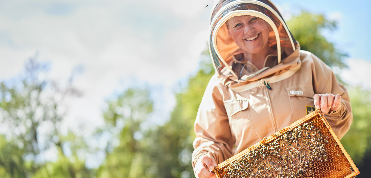 Beekeeping Norfolk/Suffolk | Prices From £75.00