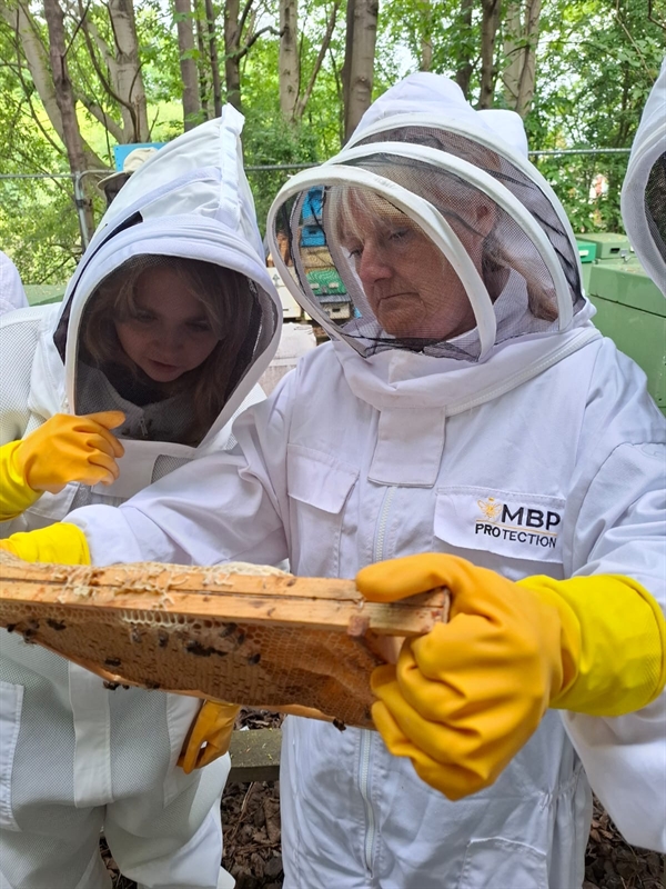 Beekeeping Sheffield | Prices From £55.00