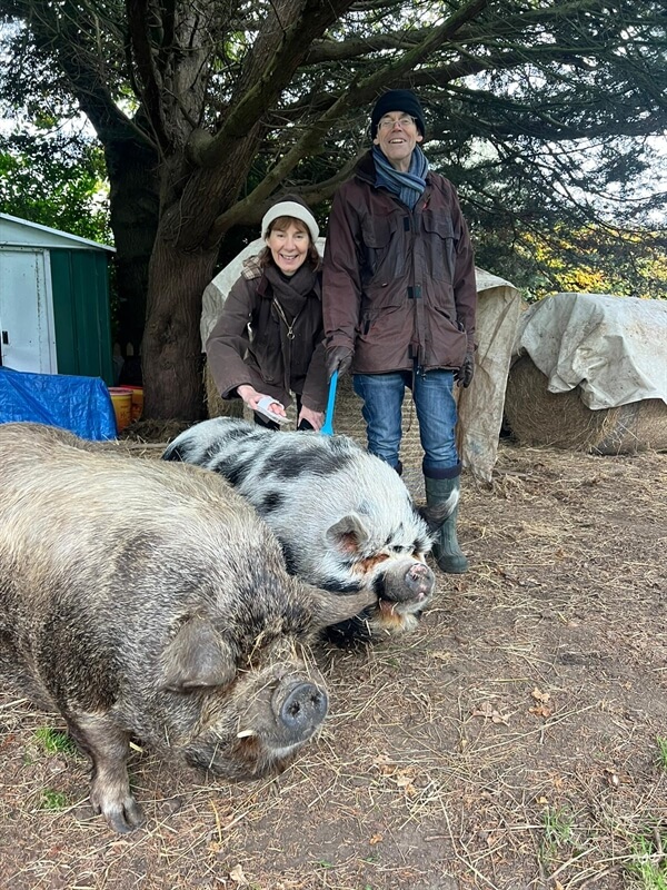 Pig Experience Norfolk for Two | Prices From £59.00