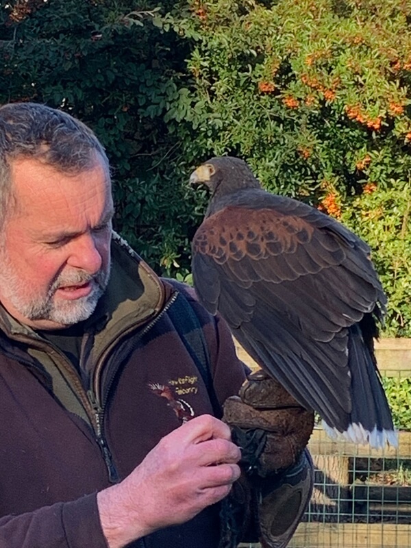 Birds of Prey Experiences Staffordshire | Prices From £75.00