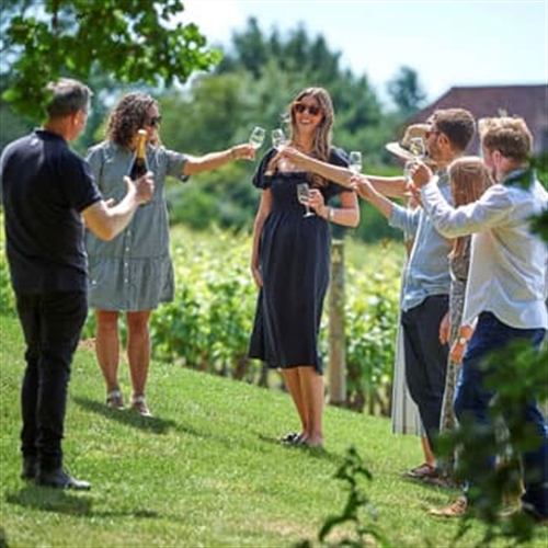 Chapel Down Tours & Wine Tastings - Vouchers for Two | Prices From £56.00