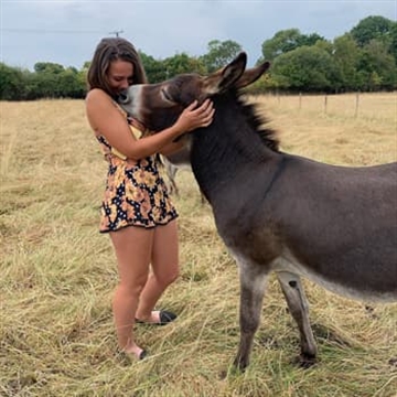 Donkey Walking Surrey | Prices From £25.00