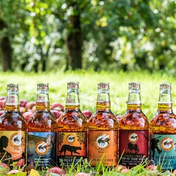 Cider Tour & Tasting Dorset | Prices From £25.00
