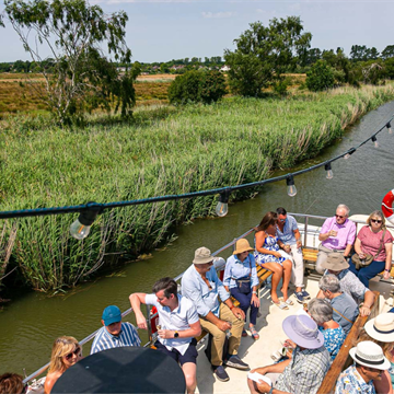 Wareham River Cruises & Boat Trips | Prices From £20.00