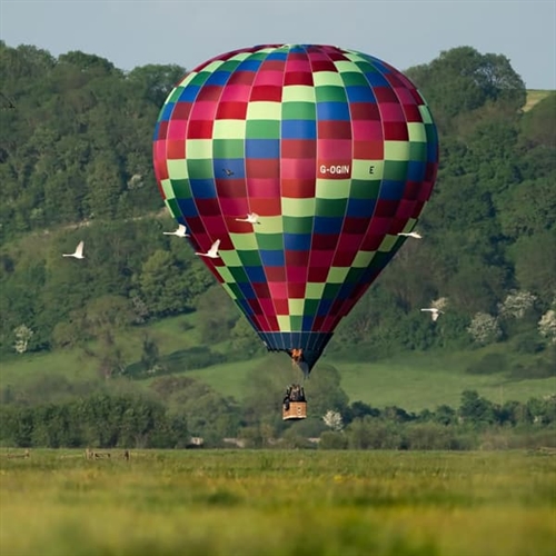 Hot air balloon dorset store