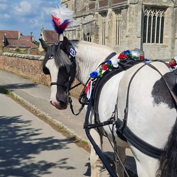 Romantic Horse & Carriage Rides for Two | Prices From £59.00