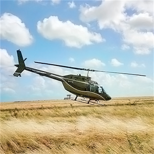 Pleasure Flights, Rides & Tours in Helicopters & Planes