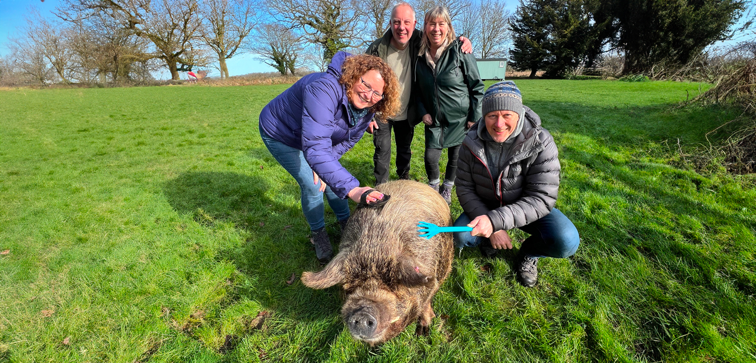 Animal Lovers Experience in Norfolk - Meet the Rescue Animals near ...