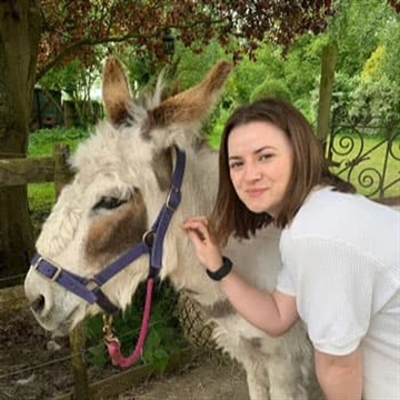 Donkey Experience Norfolk | Prices From £59.00