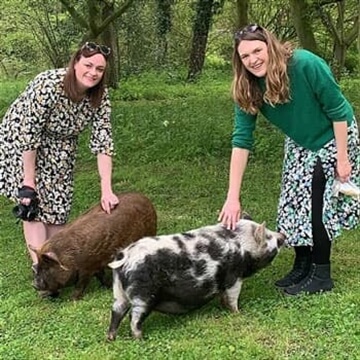 Pig Experience Norfolk for Two | Prices From £59.00