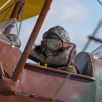 Tiger Moth Flights Yorkshire | Prices From £159.00