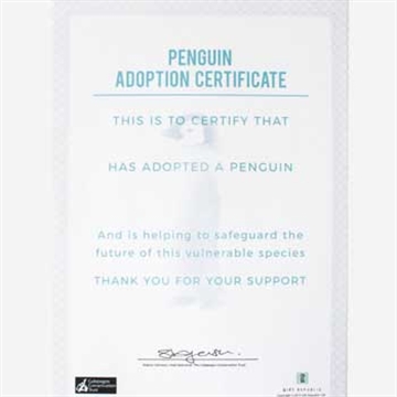 Adopt a Penguin Now | Adopting a Galapagos Penguin | Prices From £20.00
